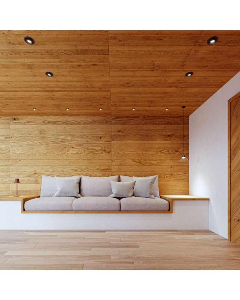 Round recessed downlight convertible into a 6W 355° oscillating LED ...