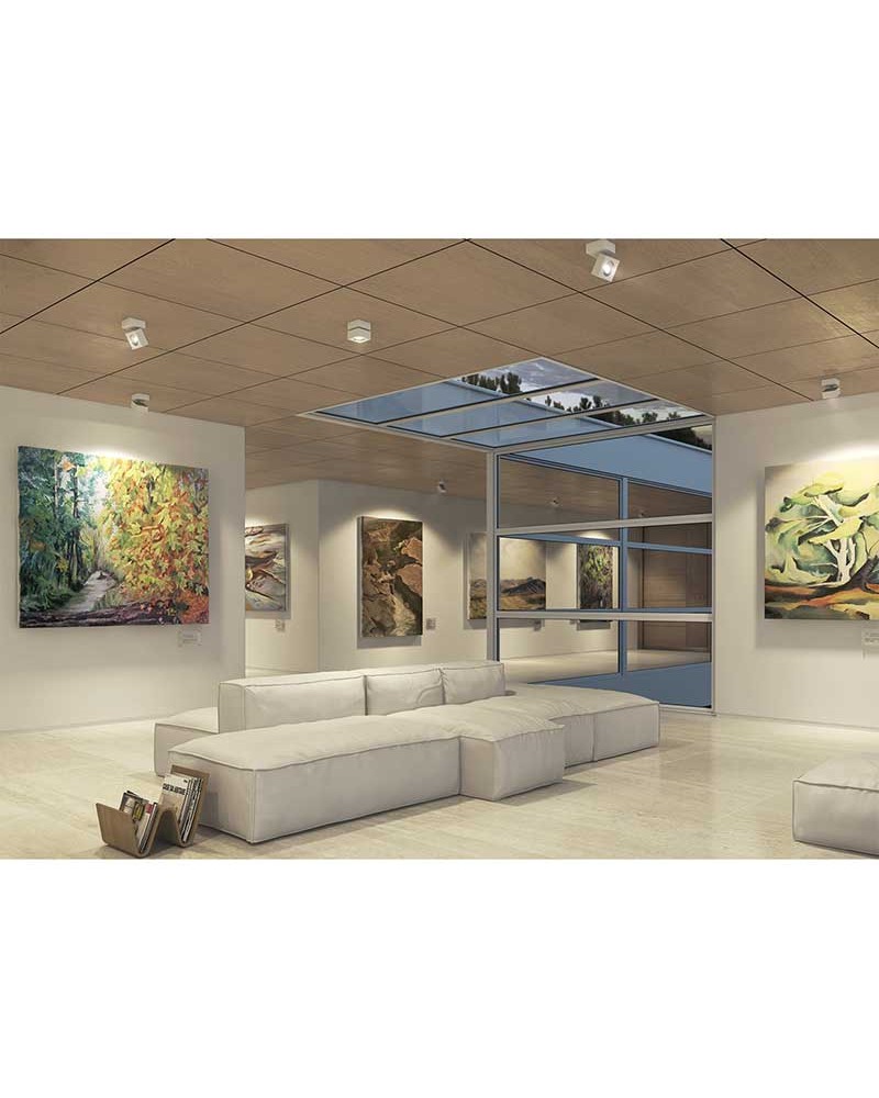 Tilting wall and ceiling spotlight 10cm aluminum LED 14W CCT Switch ...