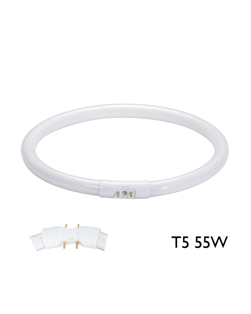 Circular fluorescent tubes